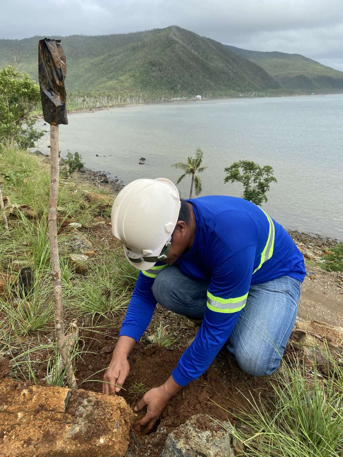 Plant a Tree – SBT Mining