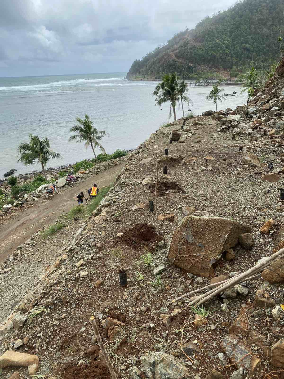 Plant a Tree – SBT Mining